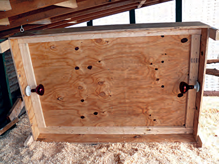 How to Make Your Own Chick Brooder - Backyard Poultry